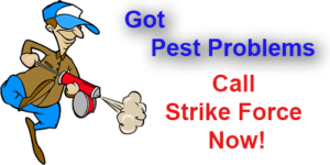 Red Deer Pest Prevention Company