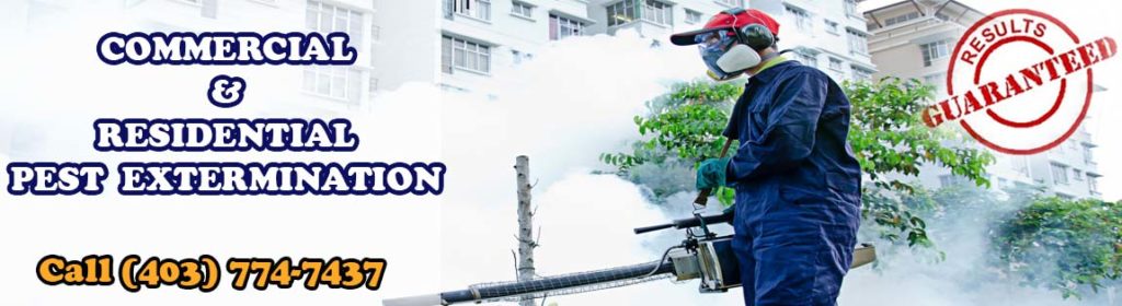 commercial-Residential-PestElimination - Strike Force Pest Control Red Deer